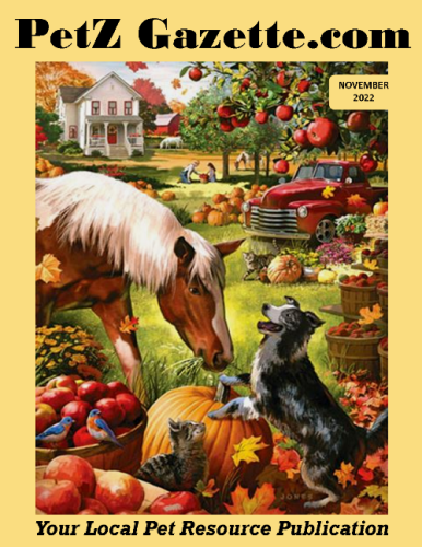 PetZ Gazette.com – Your Free Local Pet Resource Publication